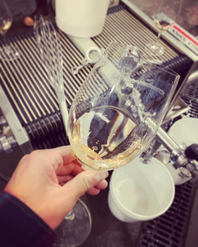 Jaclynn Renée Wines | Small Batch Pinot Noir Sonoma County, California